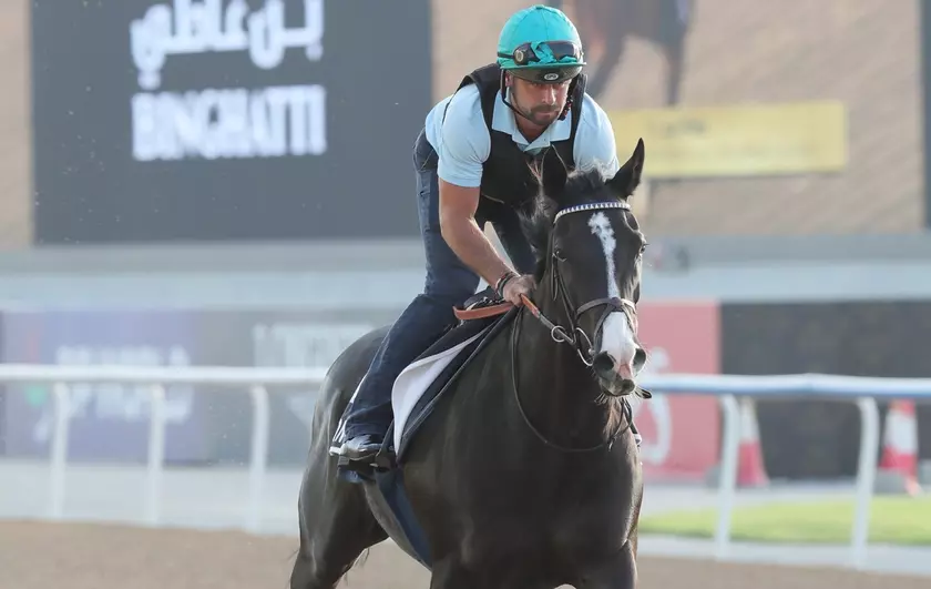 Samedi à Meydan - Mario Baratti : "tout va bien pour Monteille" | Equidia