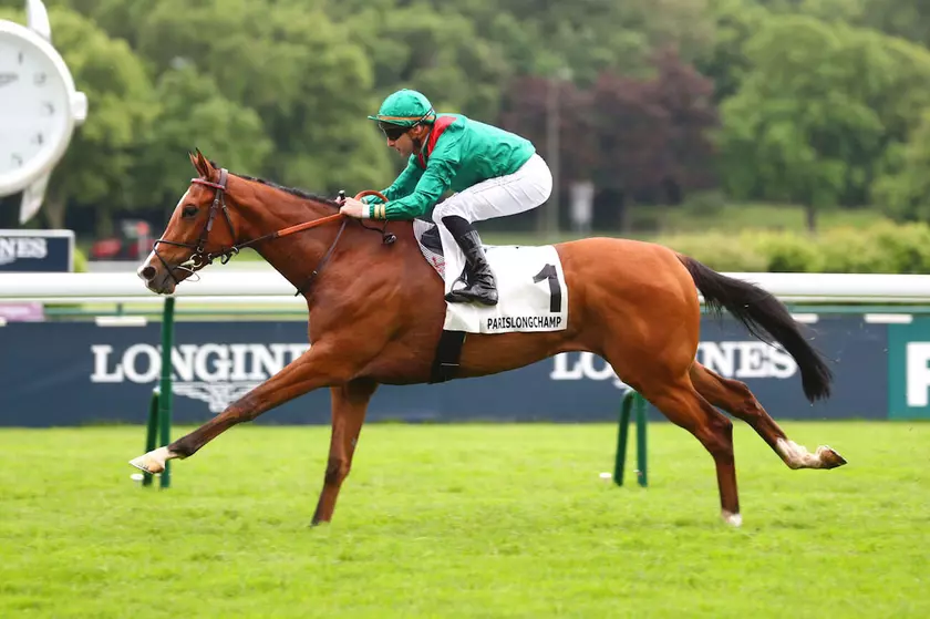 Royal Ascot : Calandagan fait briller la France, une première depuis ...