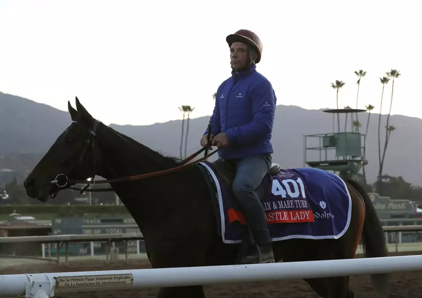 Breeders' Cup : Carlos Laffon-Parias et Henri-Alex Pantall parlent de ...