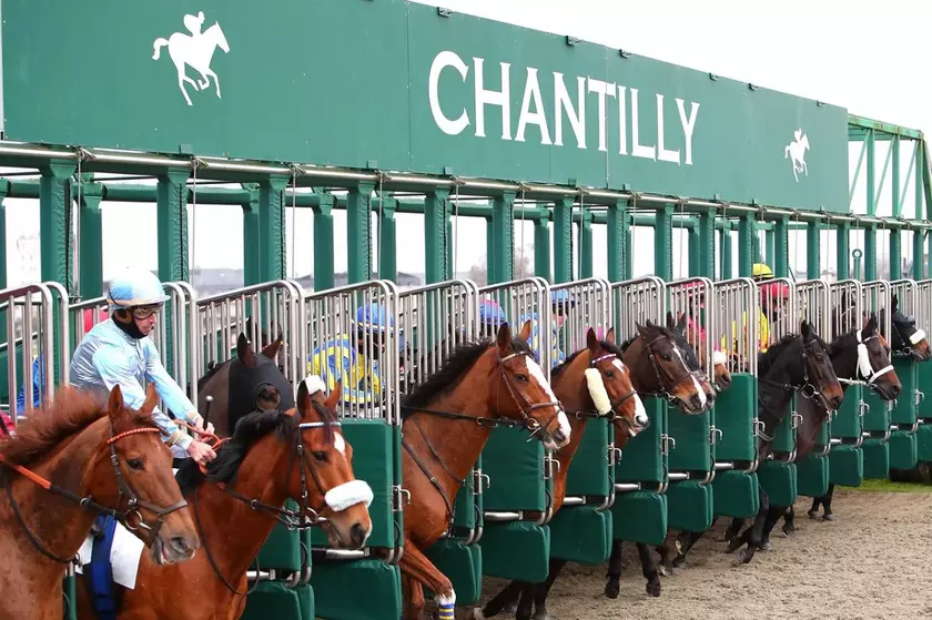 Les Pronostics Des Experts Pour La Réunion 1 à Chantilly Ce Mercredi