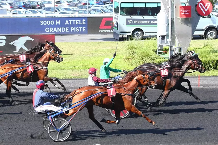 Quinté+: Critérium des 5 Ans : Hussard du Landret sur le toit de ...