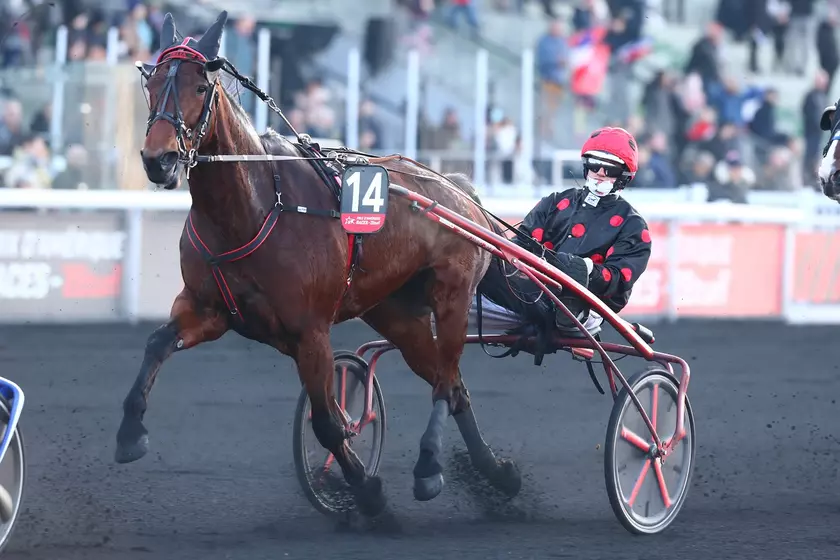 Quinté+: Alexis Boulard : "Je pense que Délia peut entrer dans le ...