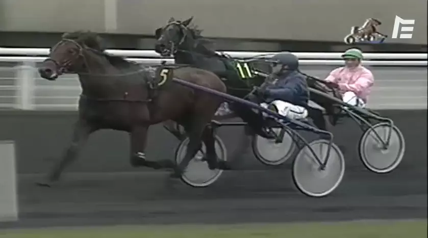 Jorky et Fleuron Perrine : seuls chevaux ayant réussi le triplé dans ...