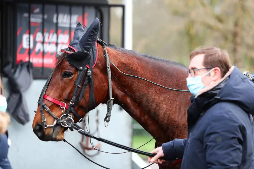 Quinté+: Le pro du jour - Sylvain Roger : "J'estime beaucoup Jaspe du ...