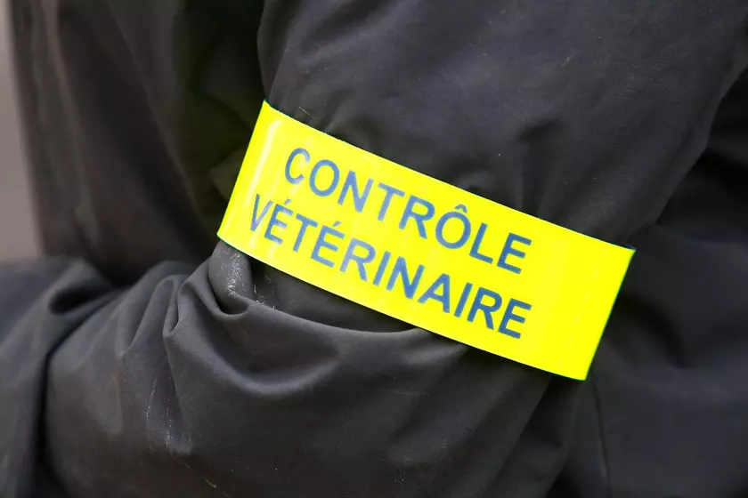 Lutte anti-dopage, les chevaux des 3 personnes mises en examen ...