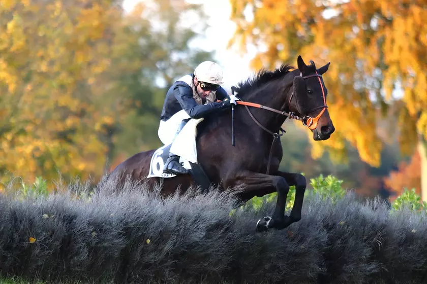 David Cottin doublement représenté à Cheltenham vendredi | Equidia