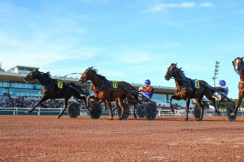 Benjamin Goetz, entraîneur d'Emeraude de Bais : "On va sûrement se ...