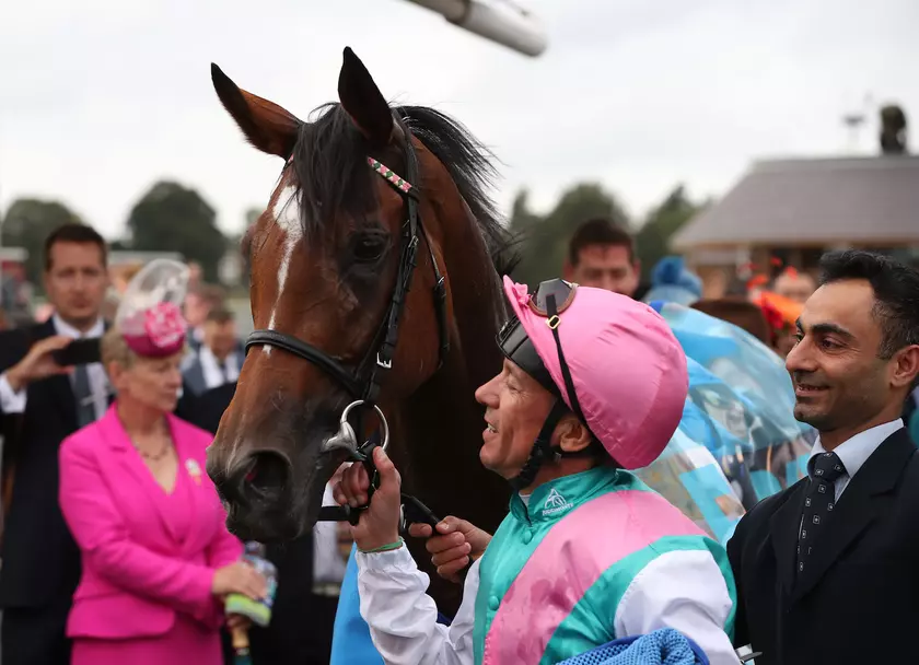 Enable reste à l’entraînement en 2020 | Equidia