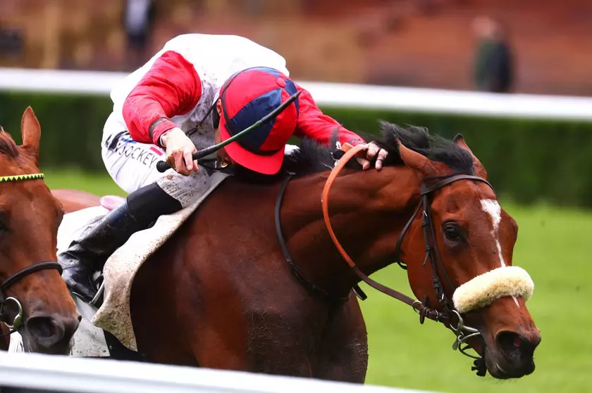 Engaliwe, le pari réussi de l'écurie Lugdunum Racing | Equidia