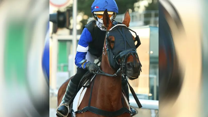 Prix de Cornulier - Anna Erixon : "Un rêve devenu réalité" | Equidia