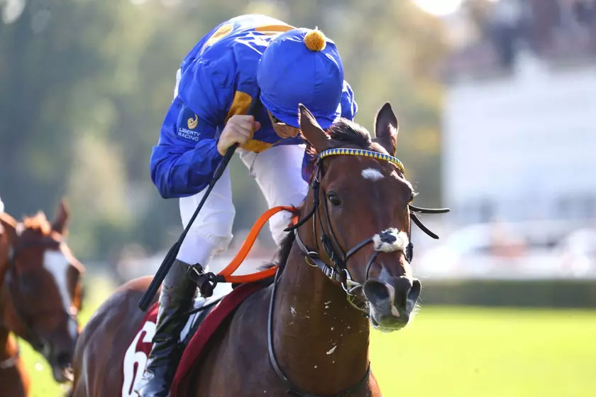 Quinté+: Qatar Prix de l'Arc de Triomphe : la présentation des chevaux ...