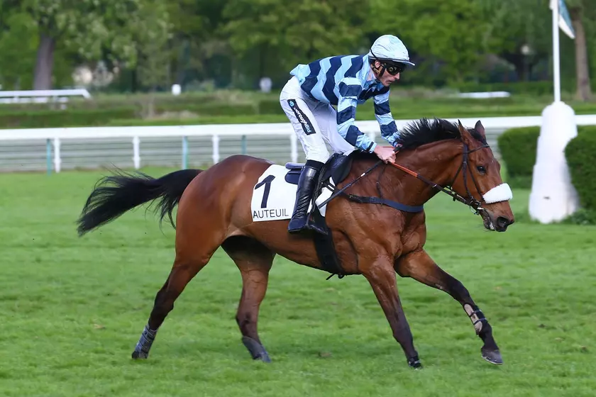 James Reveley devrait être associé à Gex dans le Grand Steeple-Chase de ...