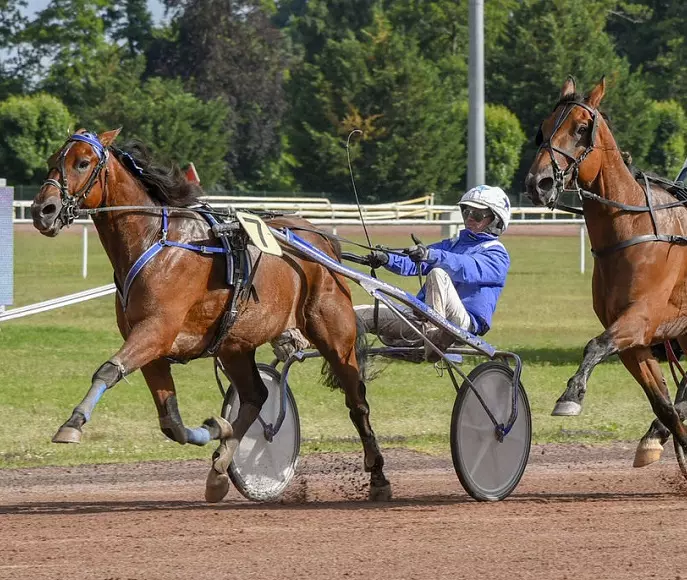 Quinté Giant Madrik La Base Solide Du Quinté De Ce Vendredi 18 Août