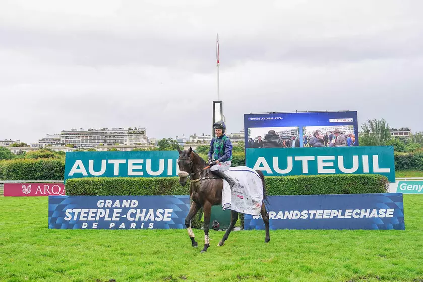 Quinté+: Le Défi des Haras - Grand Steeple-Chase de Paris : le deuxième ...