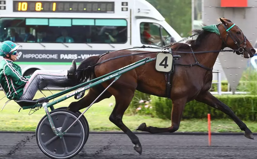 Quinté Hasard D Erable En Pôle Position Dans Le Quinté Du Lundi 17