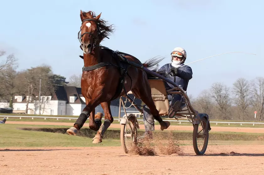 Hooker Berry à la conquête du Prix de France – Speed Race | Equidia