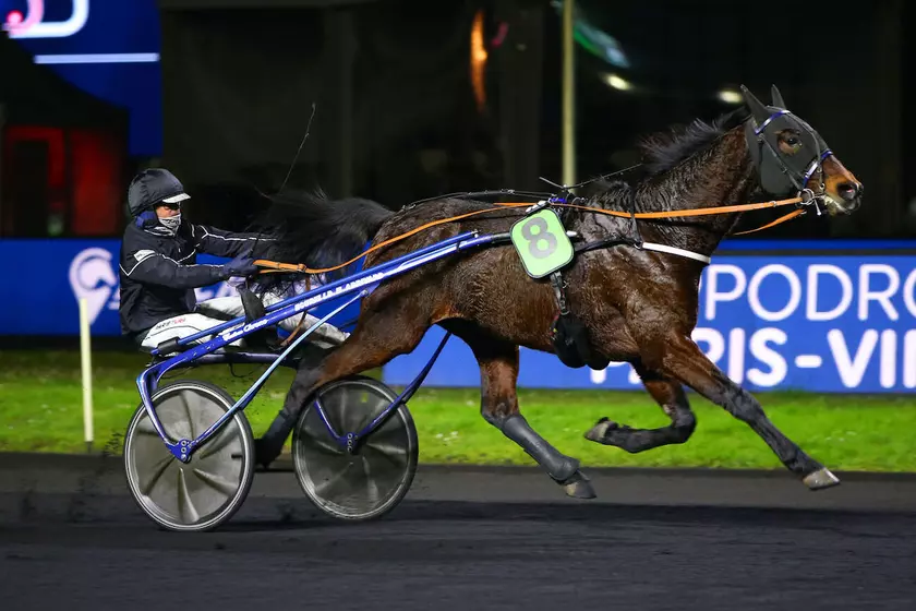 Quinté+: Quinté+ du vendredi 13 juin à Vincennes : enfin le jour de ...