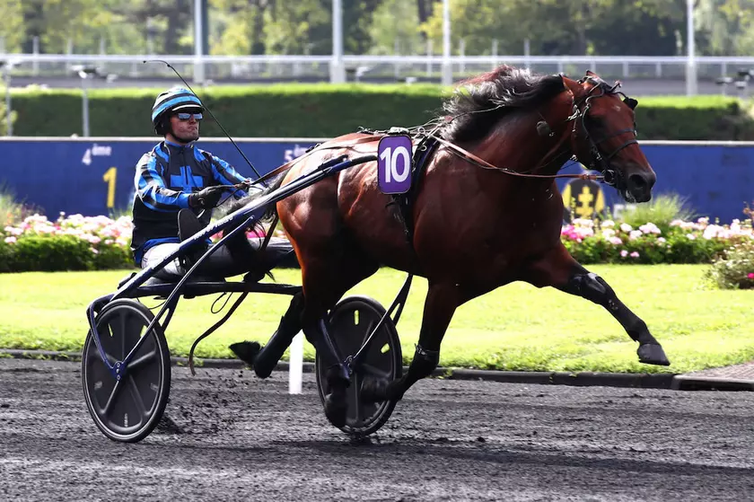 Prix Louis Jariel - Critérium 5 ans Q1 : Idao de Tillard, rentrée ...