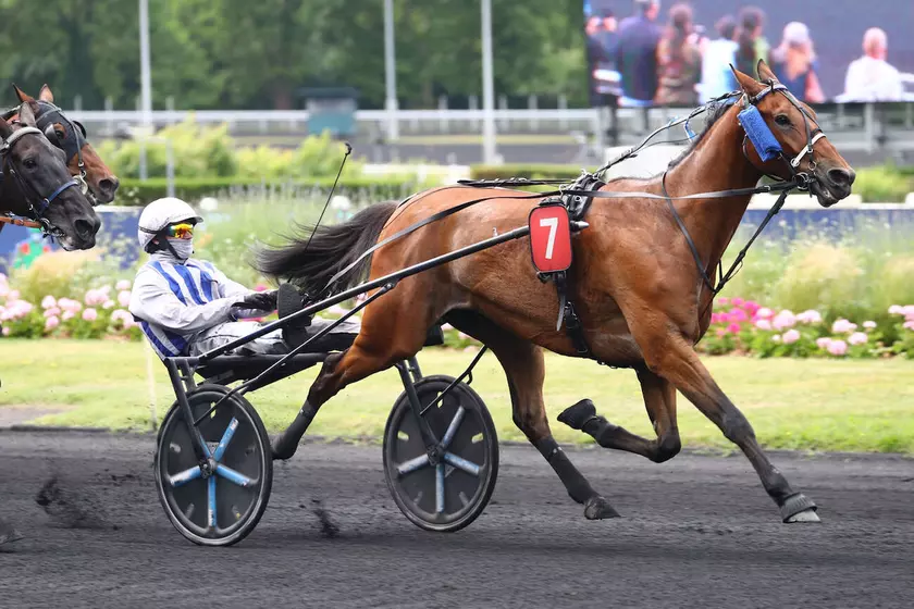 Samedi à Milan - Grand Prix des Nations : Inexess Bleu, Jabalpur et ...