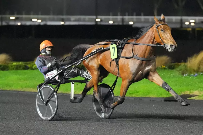 Quinté+: Quinté+ du lundi 24 novembre à Vincennes : Jamaica Brown ...