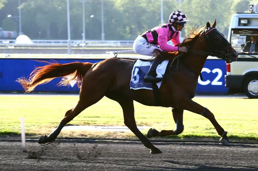 Prix Lavater - Etrier 4 ans Q3 : Jasper des Charmes domine ses adversaires | Equidia