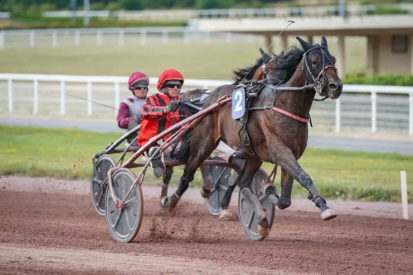 Prix de Rome : Jazzman remet les pendules à l'heure | Equidia