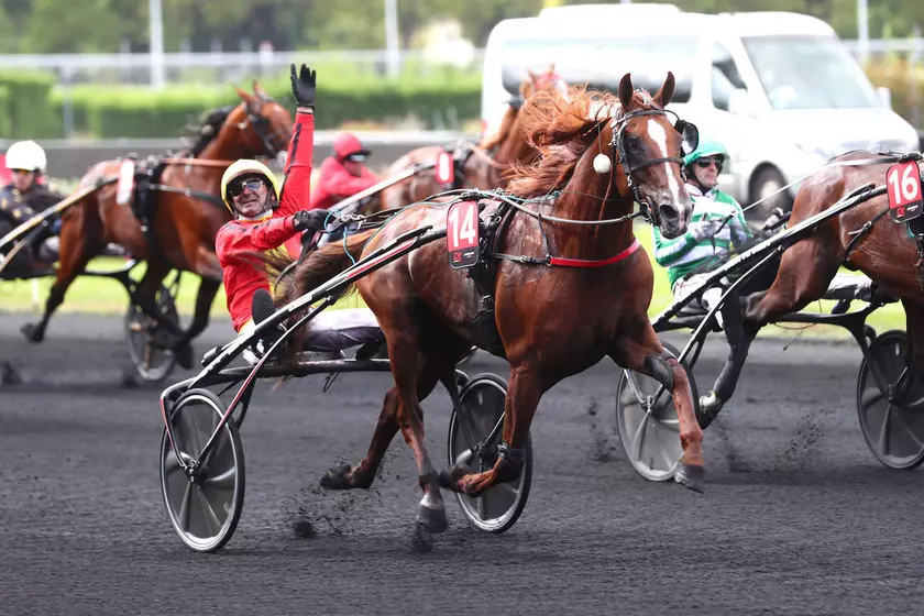 Quinté+: Josh Power, la base solide du Quinté+ de ce dimanche 17 ...