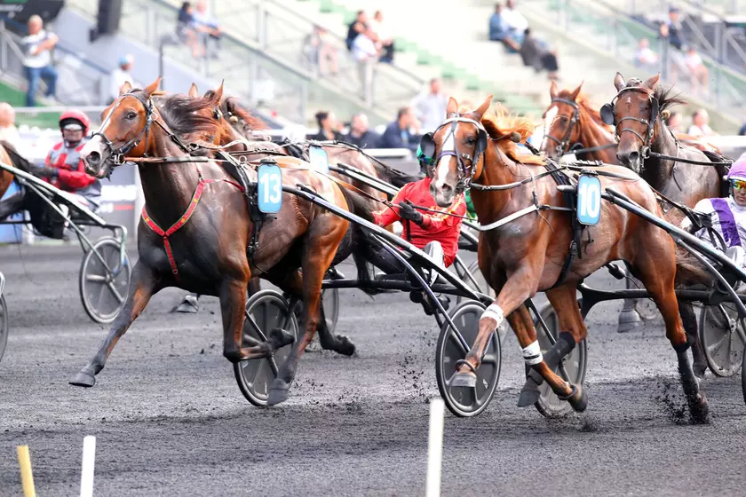 Critérium 4 ans Q3 - Prix Gaston de Wazières : Kana de Beylev renoue ...