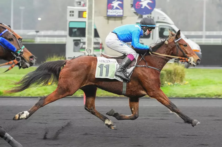 Solvalla 2025 - Les autres groupes du jour : cocorico avec Kerry Love ...