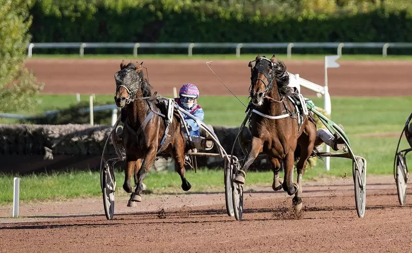 Quinté+: Quinté+ du lundi 12 mai à Vichy : King Dry, un candidat à la ...