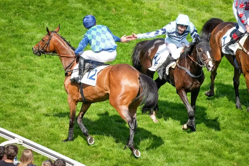 Quinté+: Grand Steeple-Chase de Paris - James Reveley : "Kolokico va ...
