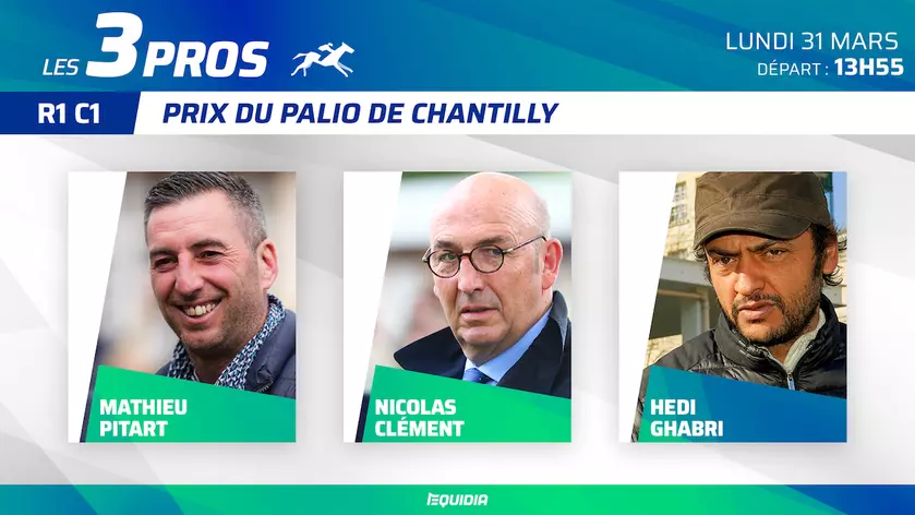 Quinté+: 3 pros analysent leurs chances dans le Quinté+ de ce lundi 31 ...