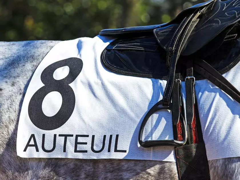 Les Pronostics Des Experts Pour La Réunion 1 à Auteuil Ce Dimanche 9
