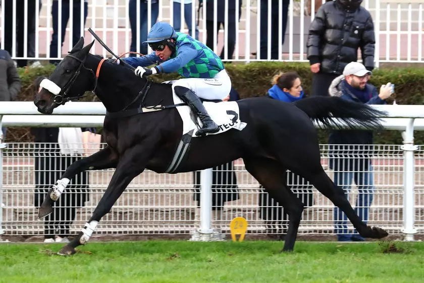 Prix Renaud du Vivier : Losange Bleu, enfin couronné | Equidia