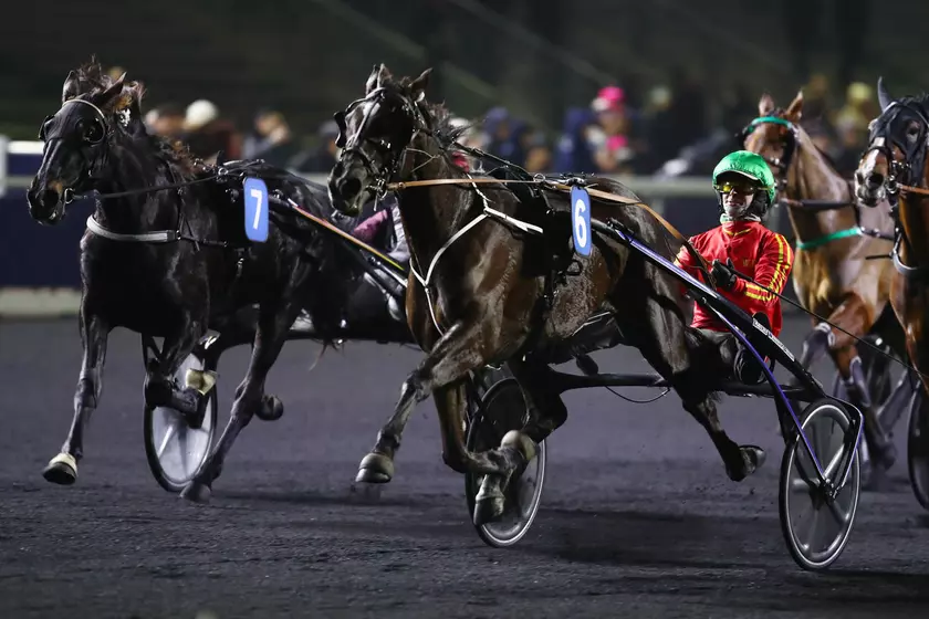 Prix Gélinotte à Vincennes : Louisiane de Bomo, comme un air de jazz ...