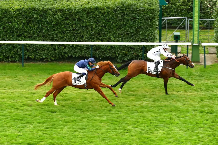 Prix Sigy (Gr.3) ce lundi à Chantilly : démonstration de Marshman et de ...