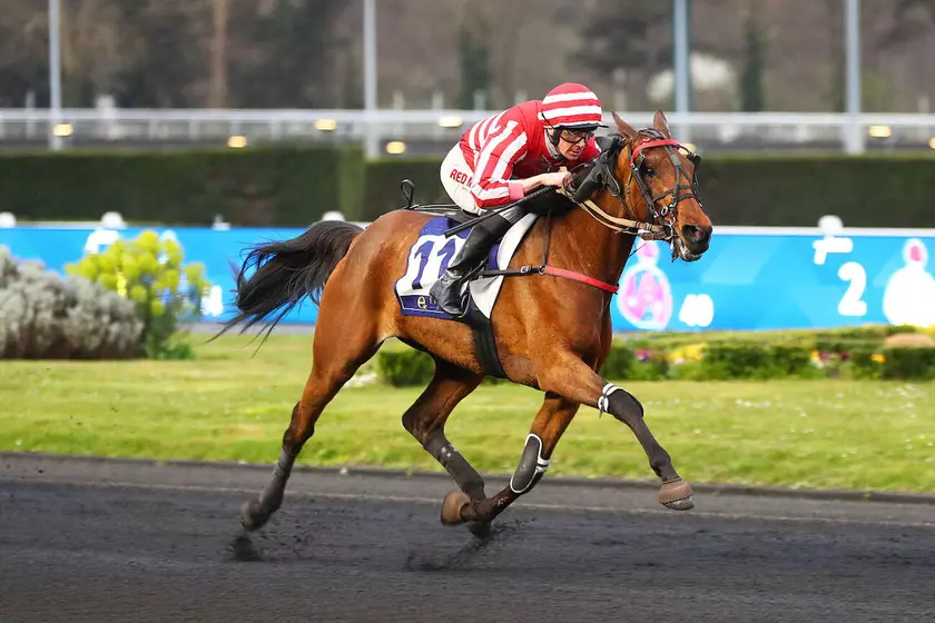 Samedi à Vincennes - Prix Hemine – Etrier 3 Ans Q4 : Analyse et conseil ...