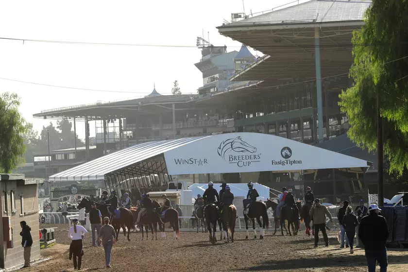 Breeder's Cup : Le diamant de Patrick Biancone | Equidia