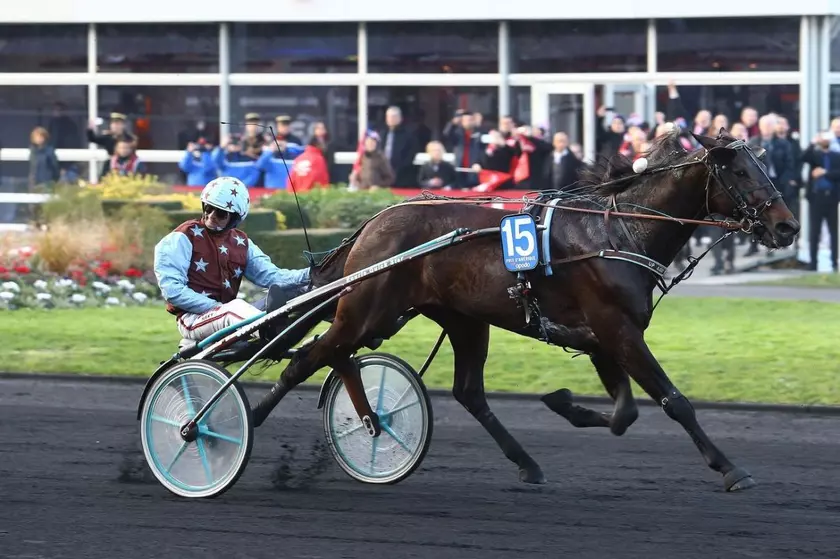 L'histoire d'Up and Quick, le cheval de tous les records | Equidia