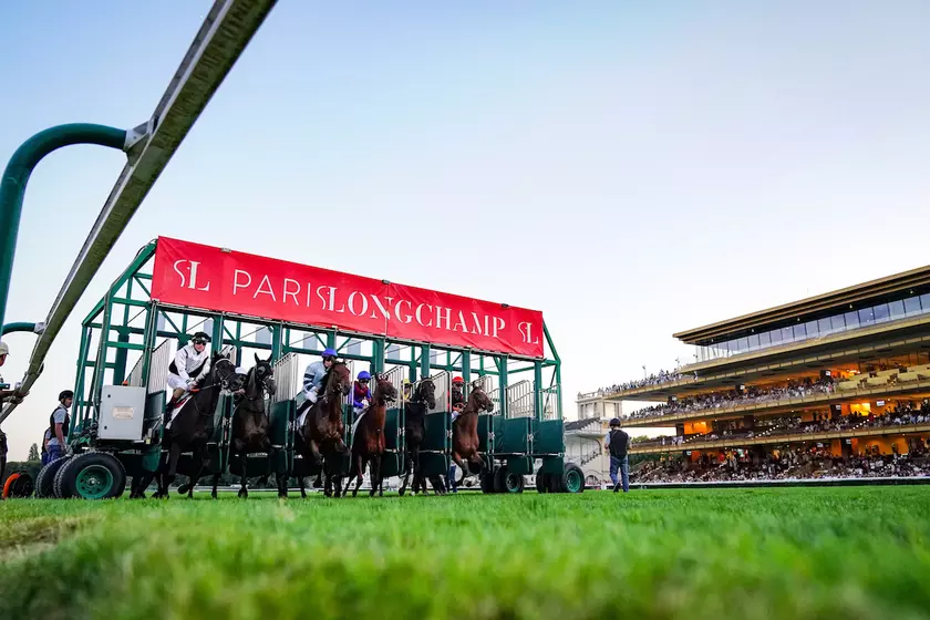 Le Quinté Du Jeudi 3 Juillet Vu Par Les Statistiques Equidia