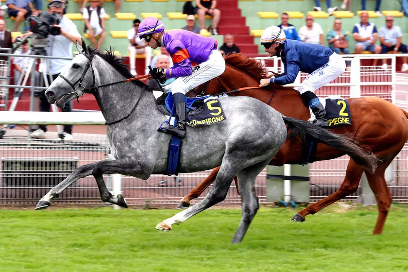 Quinté Quinté Du Samedi 22 Juin à Compiègne Présage Nocturne Un