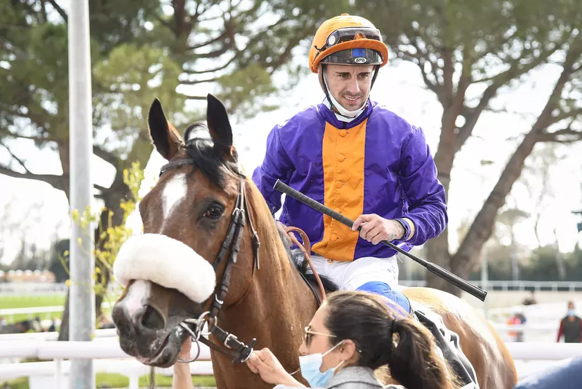 Quinté+: Arrivée du Quinté+ de mercredi à Cagnes-sur-Mer : Bosioh retrouve enfin son jour ...