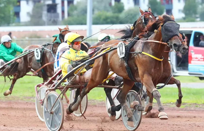 Quinté Arrivée Du Quinté De Ce Vendredi 18 Août à Pornichet