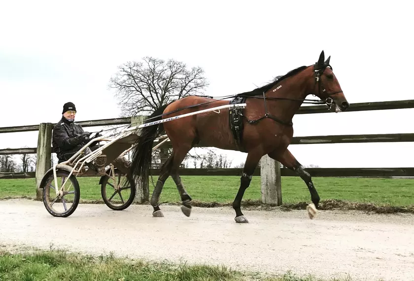 Readly Express : bien dans sa tête, bien dans son corps | Equidia