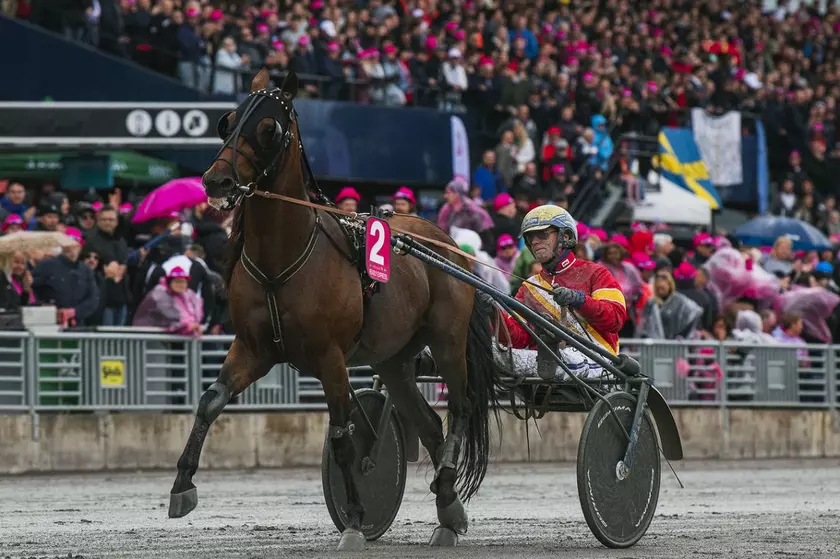 Les explications du forfait de Readly Express dans l'Elitloppet | Equidia