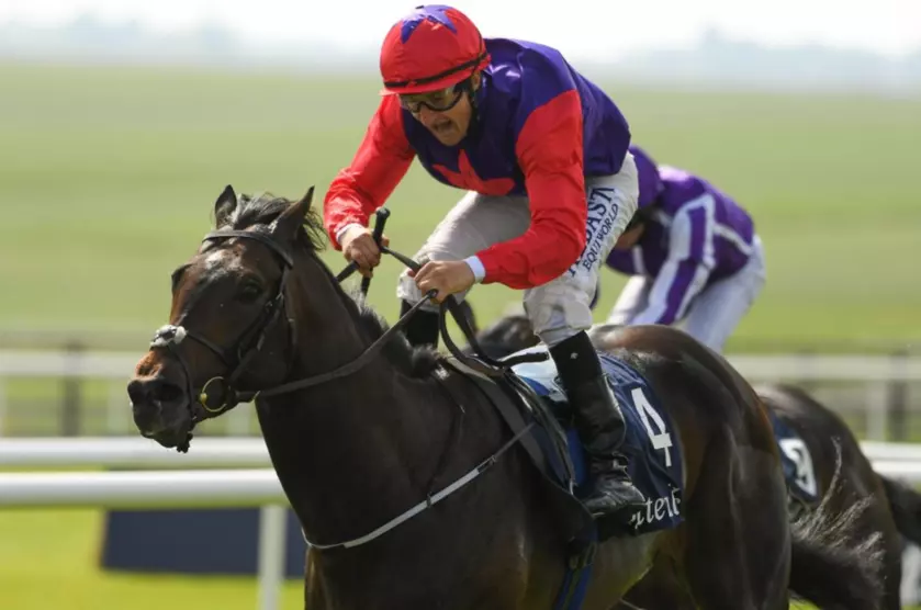 Romanised, la surprise à l'arrivée des 2000 Guinées irlandaises | Equidia