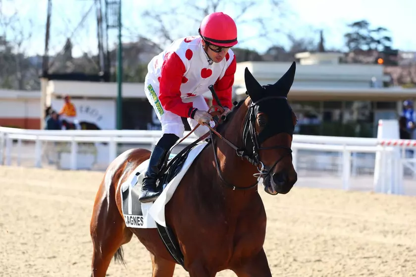 Quinté+: Saint Hellier, la base solide du Quinté+ ce lundi 22 mai | Equidia