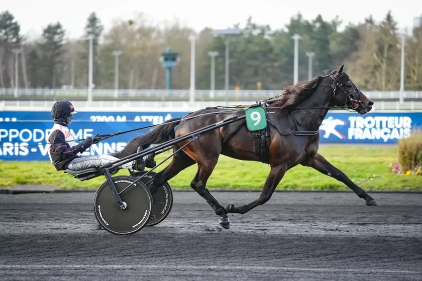 Dimanche à Vincennes - Prix Ténor de Baune- Amerique Races Q4 : Une ...