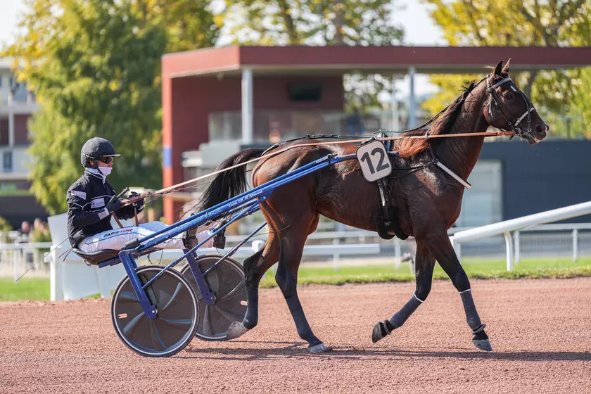 Quinté+: Quinté+ du mercredi 12 novembre à Bordeaux : Hôtel Mystic face ...