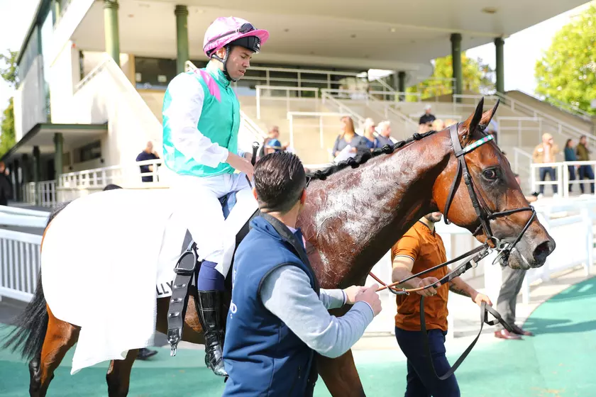 Mardi à Saint-Cloud - Analyse et conseil de jeu du Prix Greffulhe | Equidia